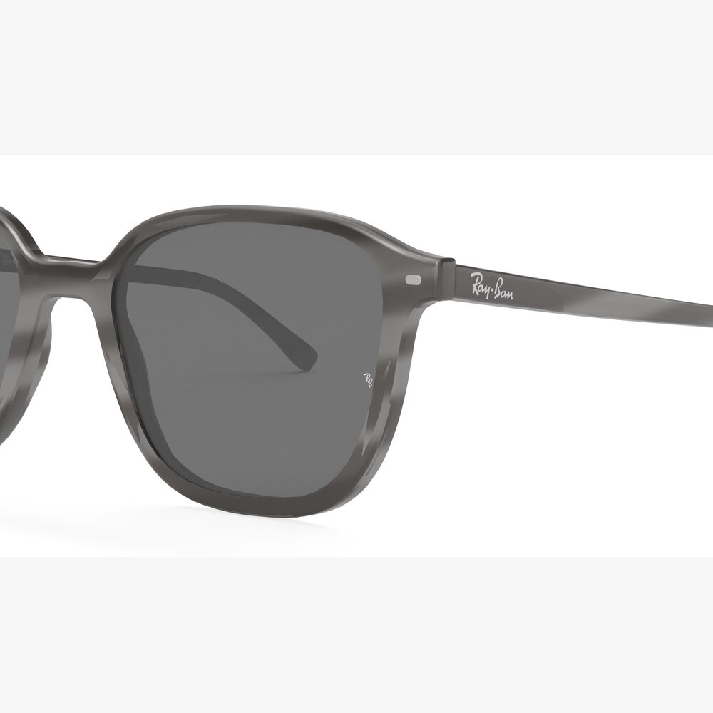 Ray Ban Leonard Non-Polarized Dark Grey Classic Sunglass 3D model ...