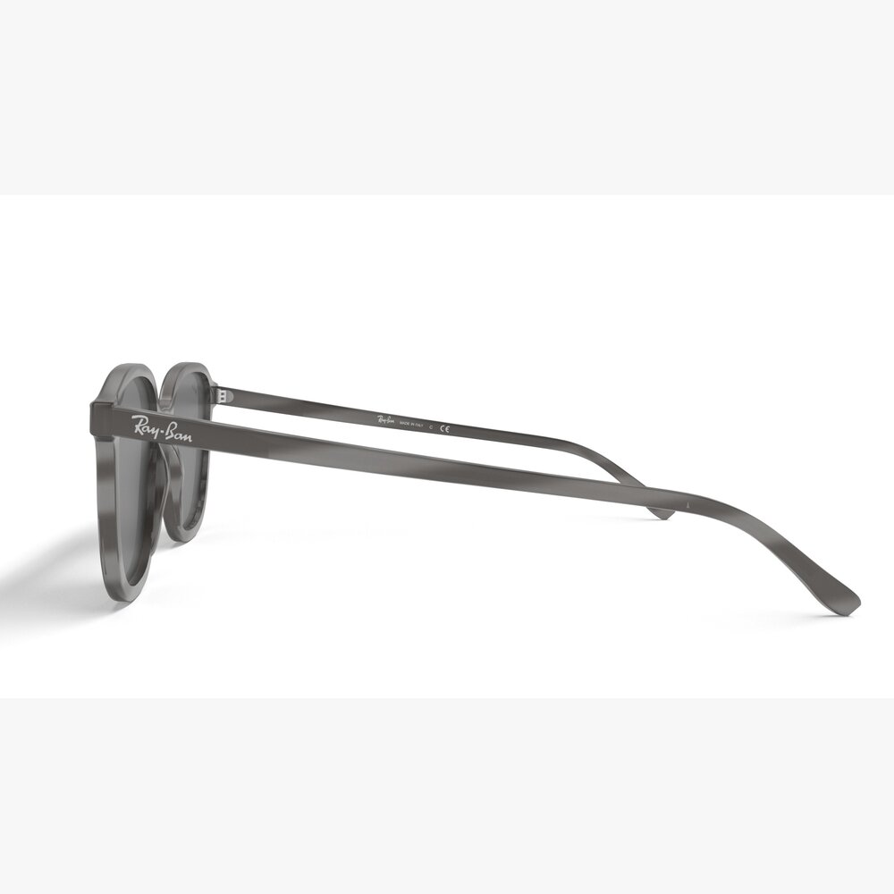 Ray Ban Leonard Non-Polarized Dark Grey Classic Sunglass 3D model ...