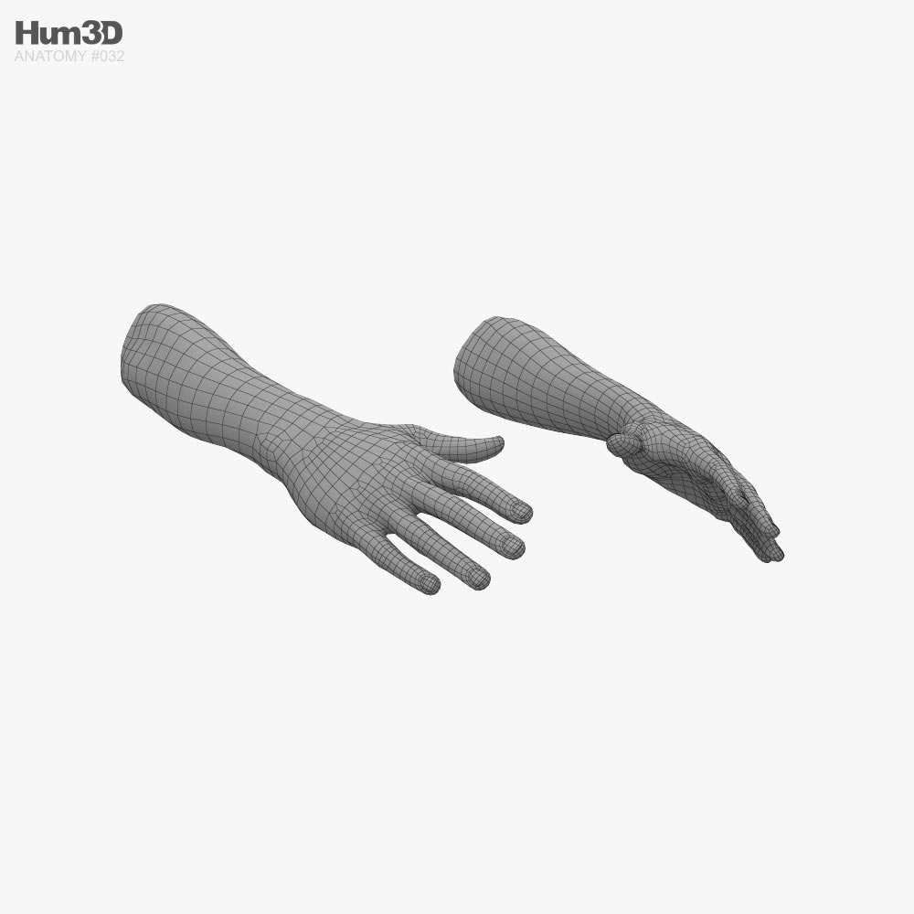 Modelo De Mano 3d Modelo De Mano Clonada 3D, Bricolaje Innovador