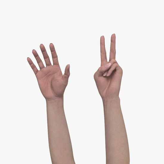 手 3D模型 下载 - 3DModels.org
