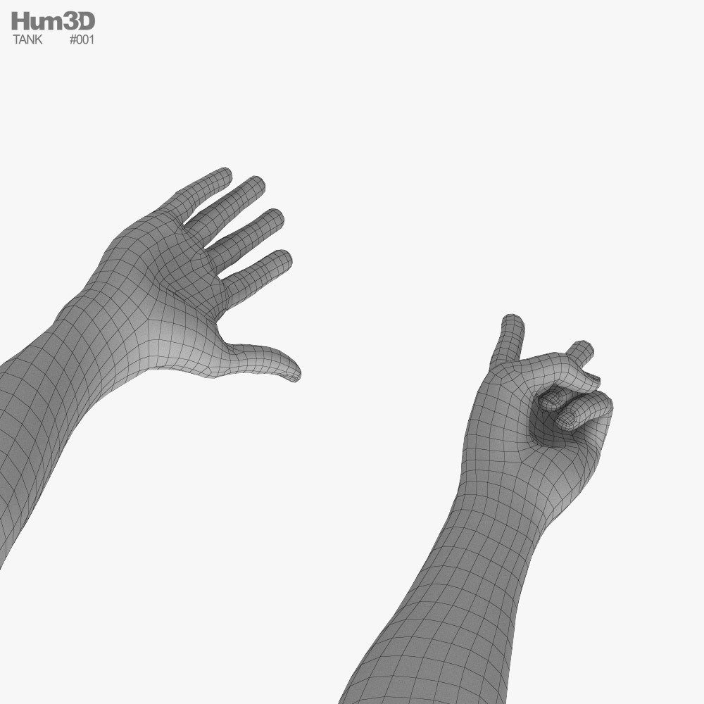 Male Hands Peace Gesture 3D model - Download Anatomy on 3DModels.org