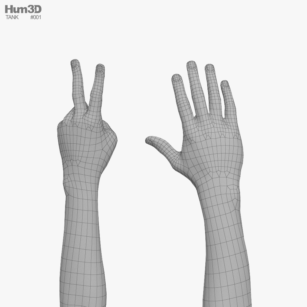 Male Hands Peace Gesture 3D model - Download Anatomy on 3DModels.org
