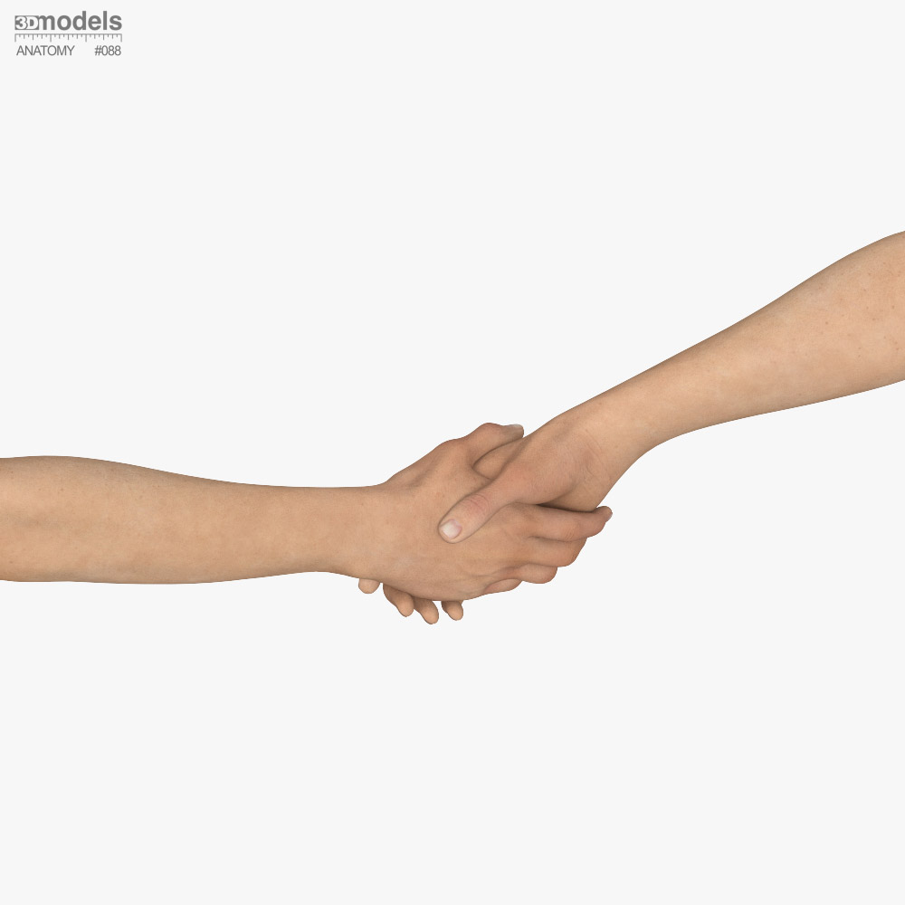 Male Handshake 3D 모델 - 다운로드 Anatomy on 3DModels.org