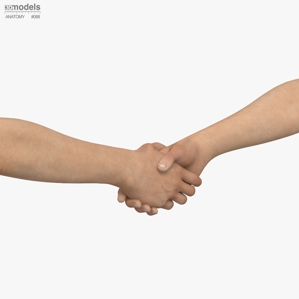 Male Handshake 3D 모델 - 다운로드 Anatomy on 3DModels.org