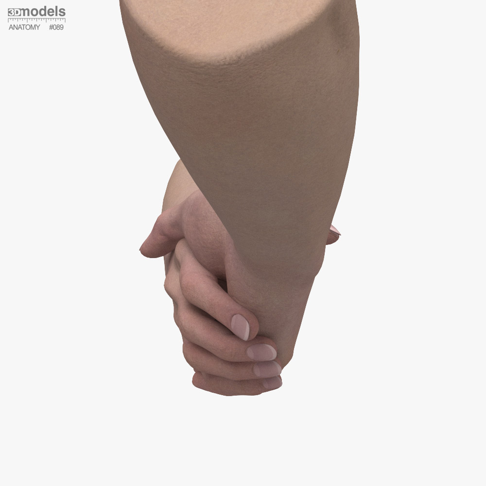 Female Handshake 3D 모델 - 다운로드 Anatomy on 3DModels.org
