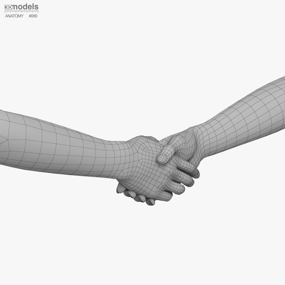 Female Handshake 3D 모델 - 다운로드 Anatomy on 3DModels.org