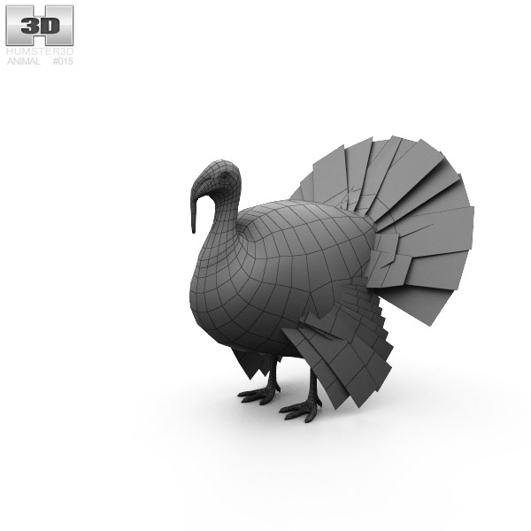 Turkey Low Poly 3D model - Download Birds on 3DModels.org