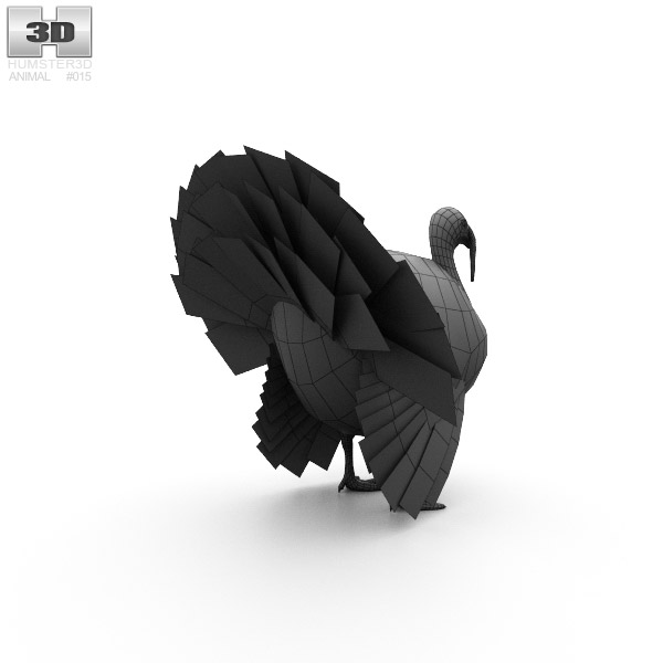 Turkey Low Poly 3D model - Download Birds on 3DModels.org