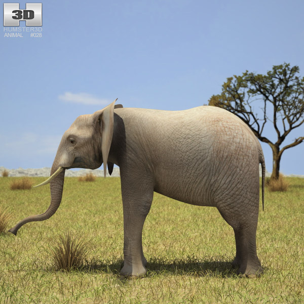 African Elephant Low Poly 3D model - Download Mammals on 3DModels.org