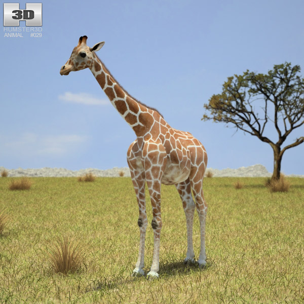 Giraffe Low Poly 3D model - Download Mammals on 3DModels.org