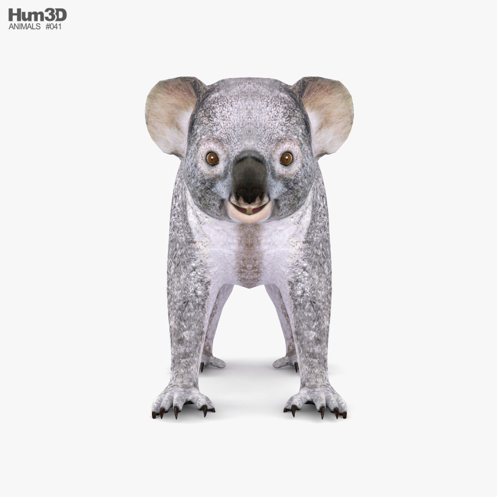 Koala Low Poly Rigged Animado Modelo 3D - Descargar Mammalia on ...
