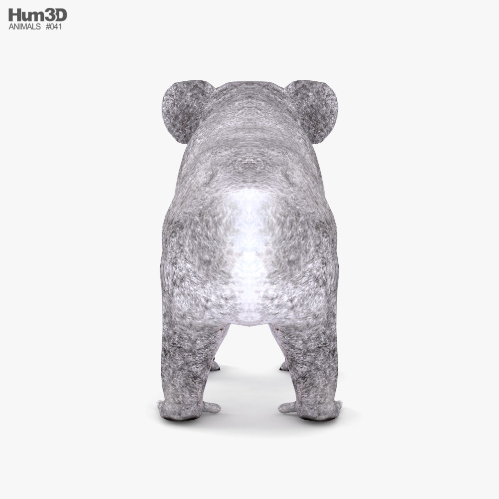 Koala Low Poly Rigged 3D model - Download Mammals on 3DModels.org