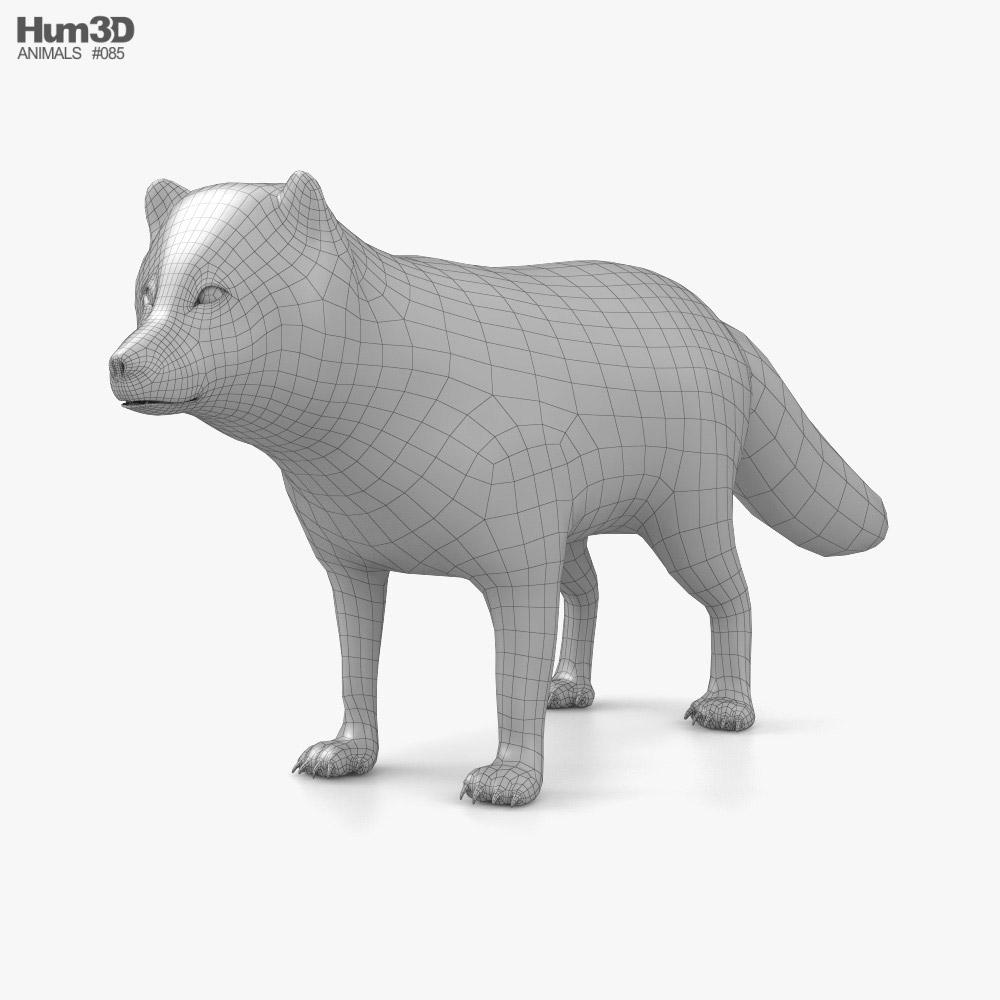 Arctic fox Low Poly Rigged Modelo 3D - Descargar Mammalia on 3DModels.org