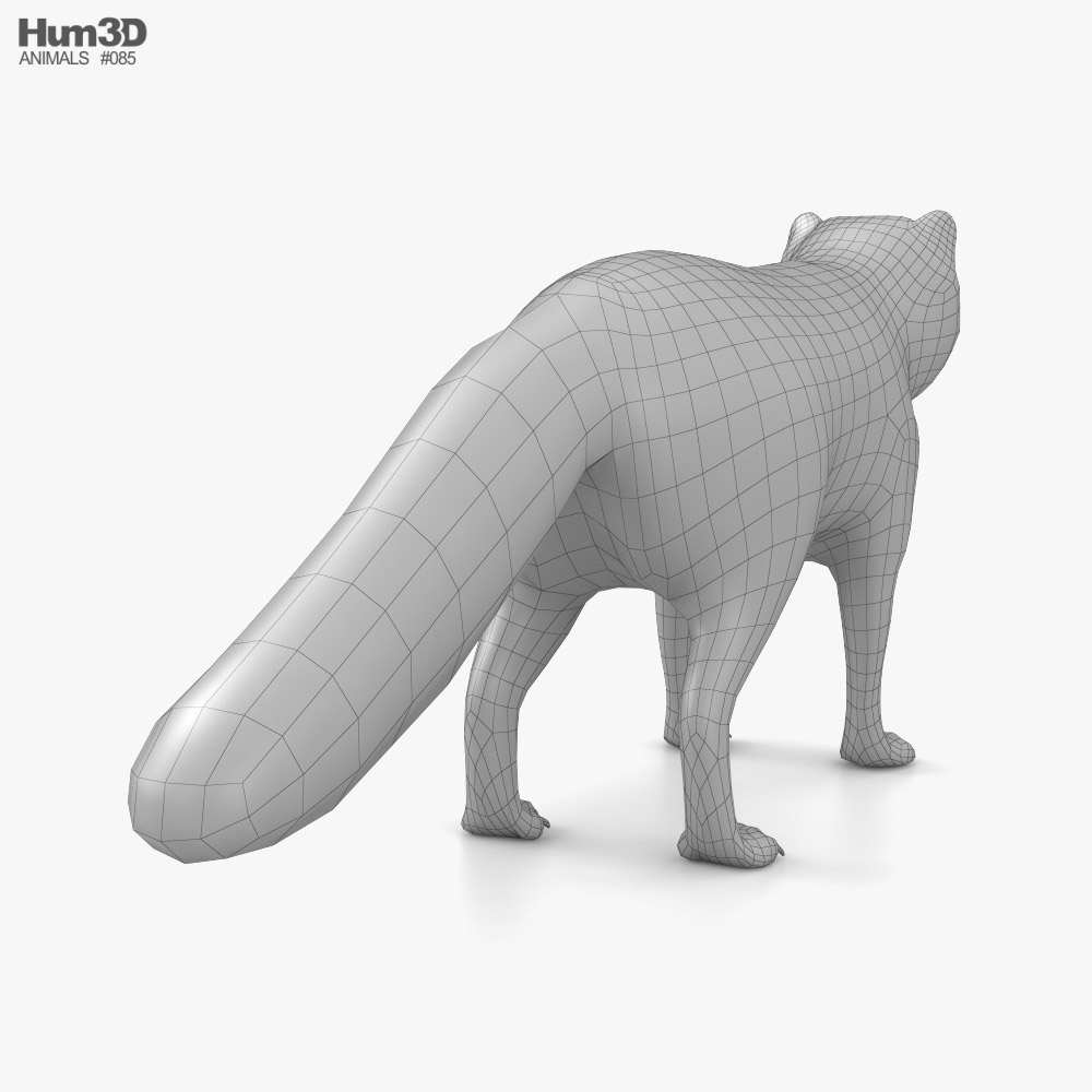 Arctic fox Low Poly Rigged Modelo 3D - Descargar Mammalia on 3DModels.org