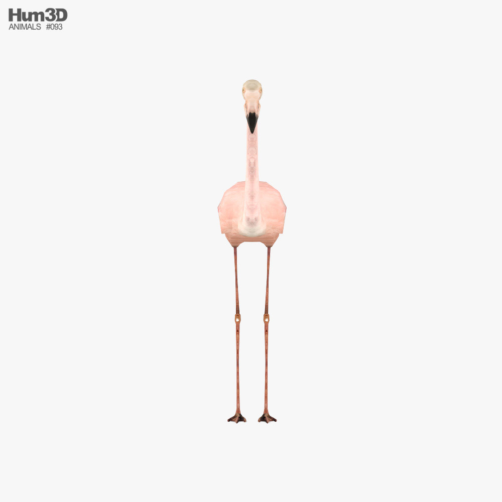 Flamingo Low Poly Rigged 3D model - Download Birds on 3DModels.org