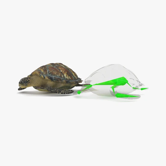 Tortuga Modelos 3D Descargar - 3DModels.org