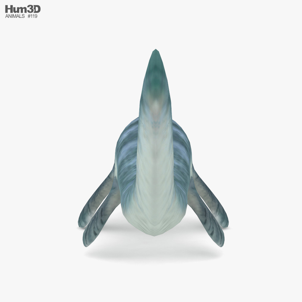 Mosasaurus Low Poly Rigged 3D model - Download Dinosaur on 3DModels.org