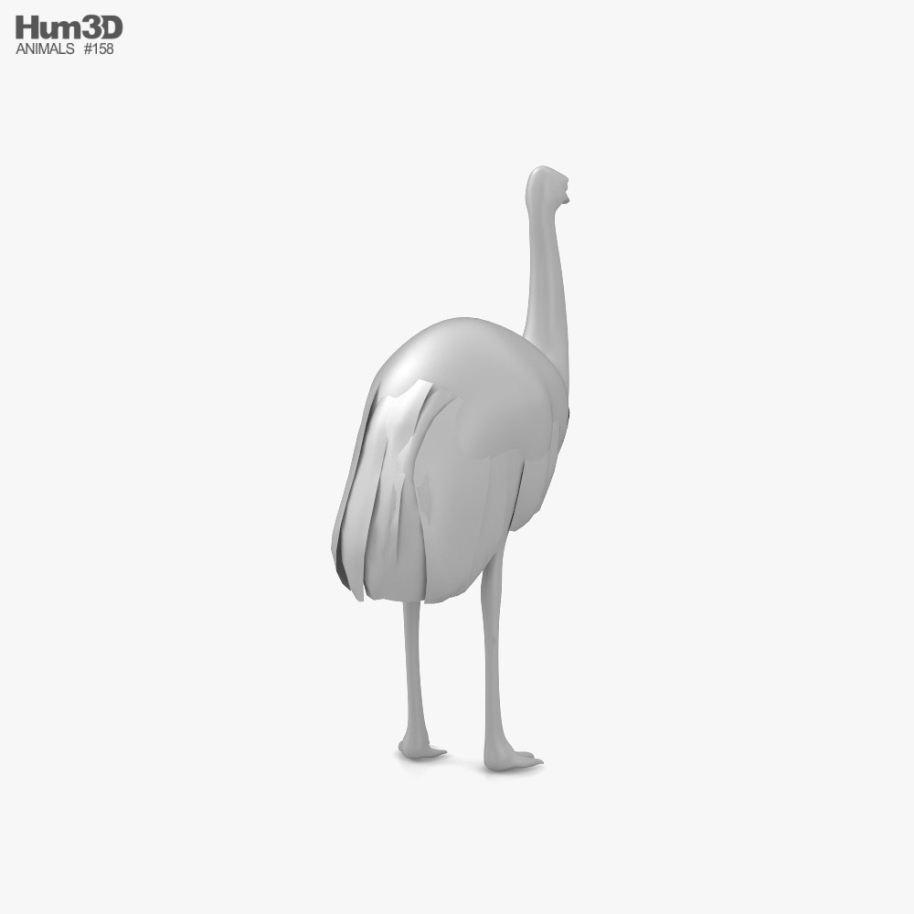 Emu Low Poly Rigged Modelo 3D - Descargar Aves on 3DModels.org