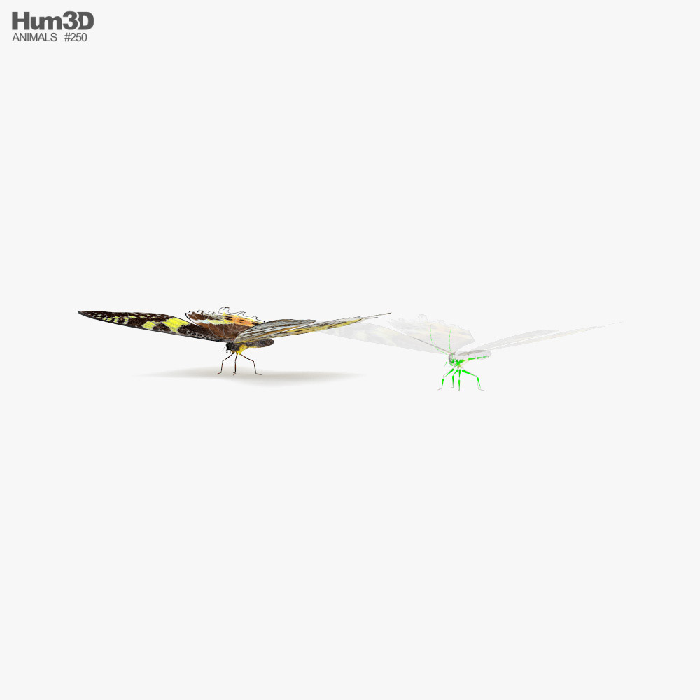 Madagascan Sunset Moth Low Poly Rigged Modelo 3D - Descargar Insectos ...