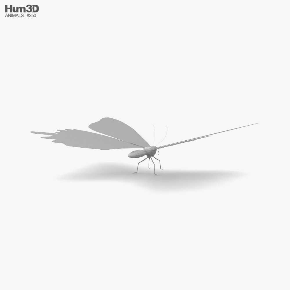 Madagascan Sunset Moth Low Poly Rigged 3D model - Download Insects on ...