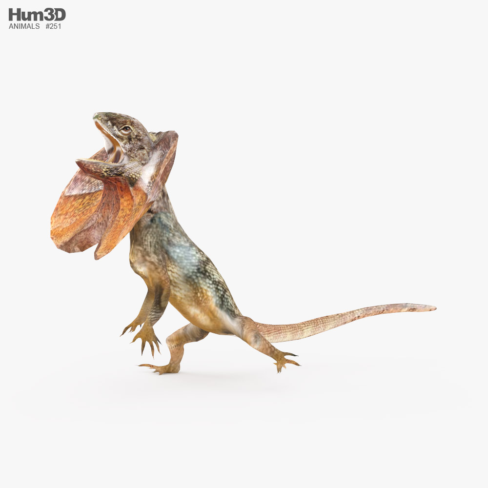 Frilled lizard Low Poly Rigged Animated Modello 3D - Scarica Rettile on ...