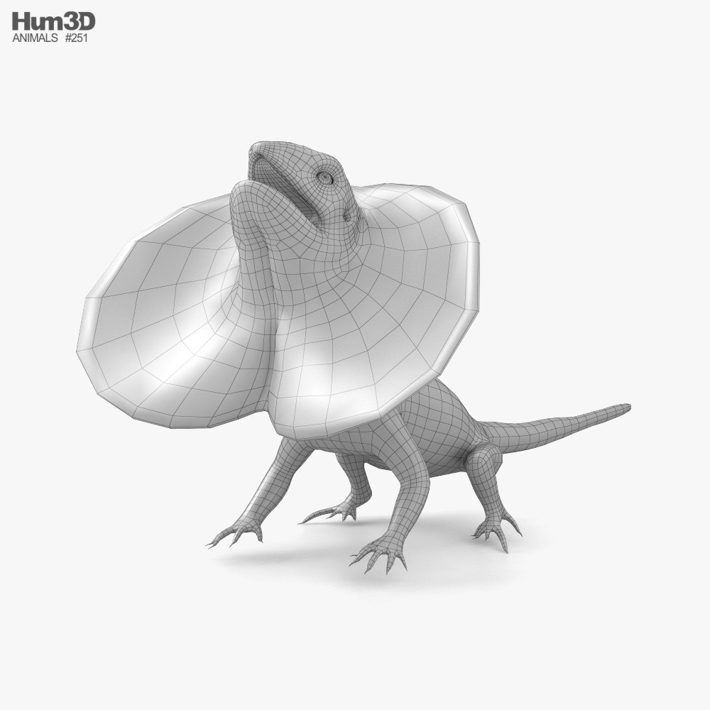 Frilled lizard Low Poly Rigged Animated Modello 3D - Scarica Rettile on ...