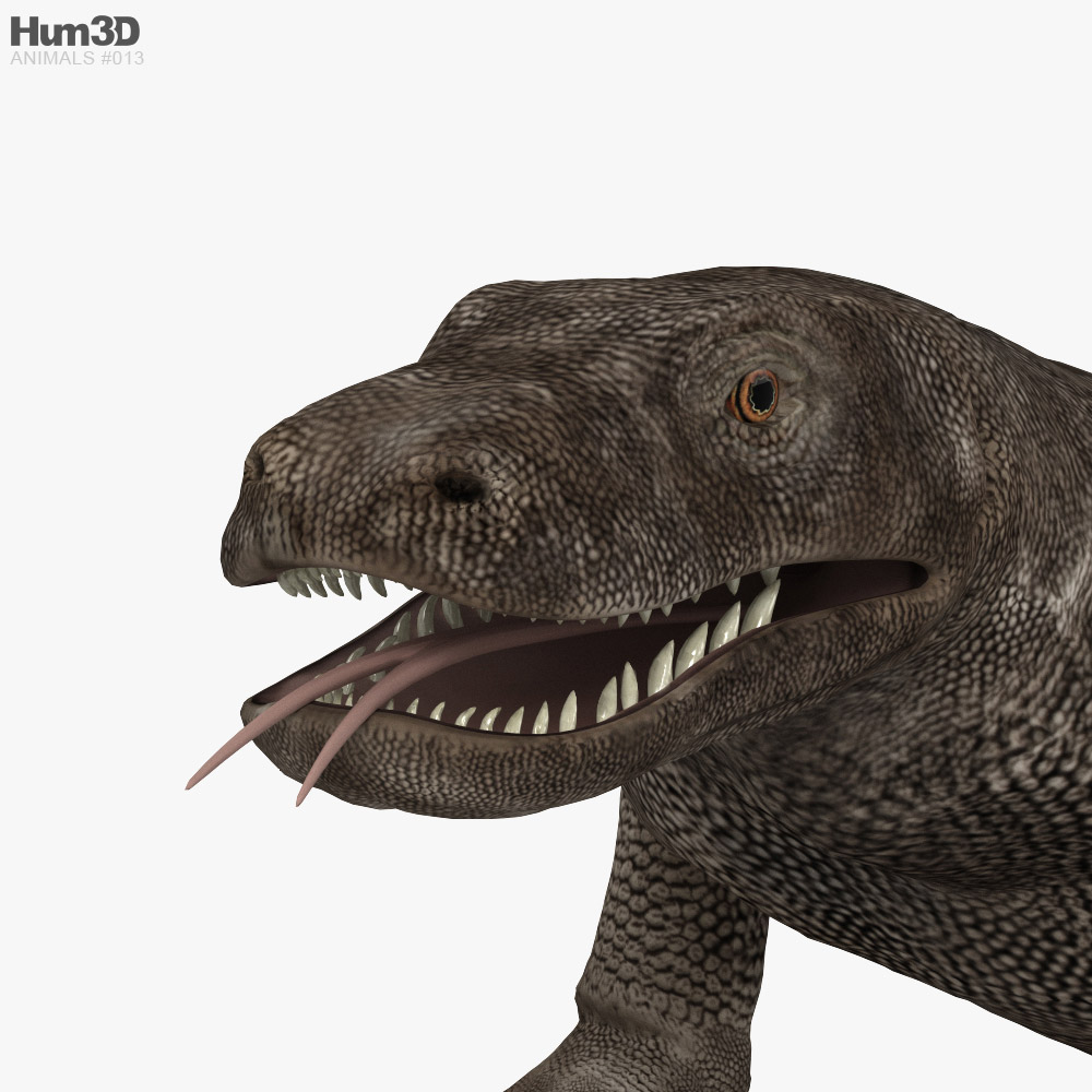 Komodo Dragon CAD 3D modeli - İndir Sürüngen üzerinde 3DModels.org