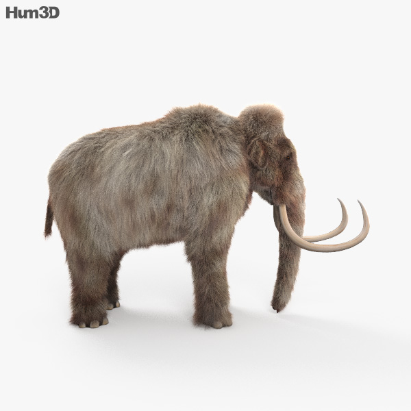 Animated Mammoth 3D model - Download Mammals on 3DModels.org