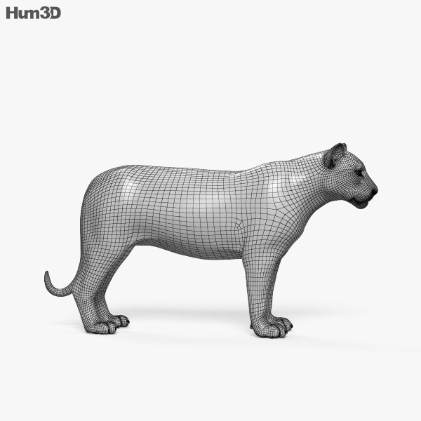Animated Tiger 3D model - Download Mammals on 3DModels.org