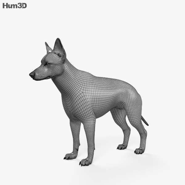 Animated German Shepherd 3D model - Download Mammals on 3DModels.org