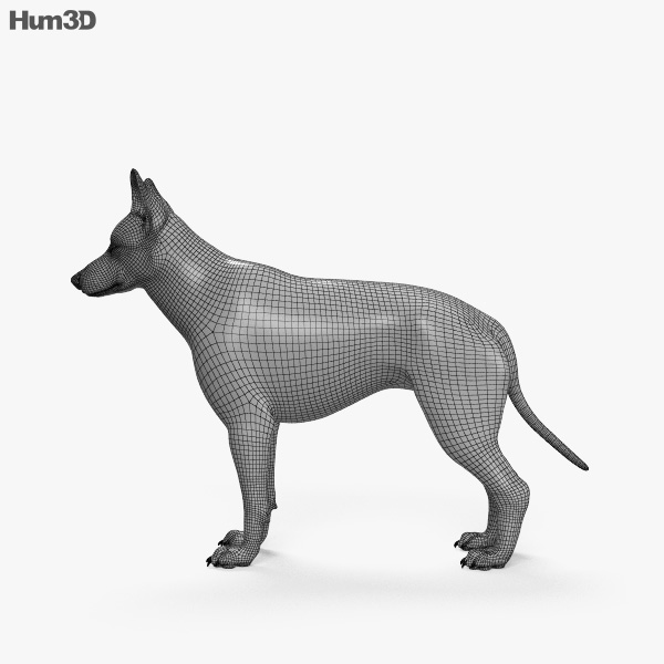 Animated German Shepherd 3D model - Download Mammals on 3DModels.org