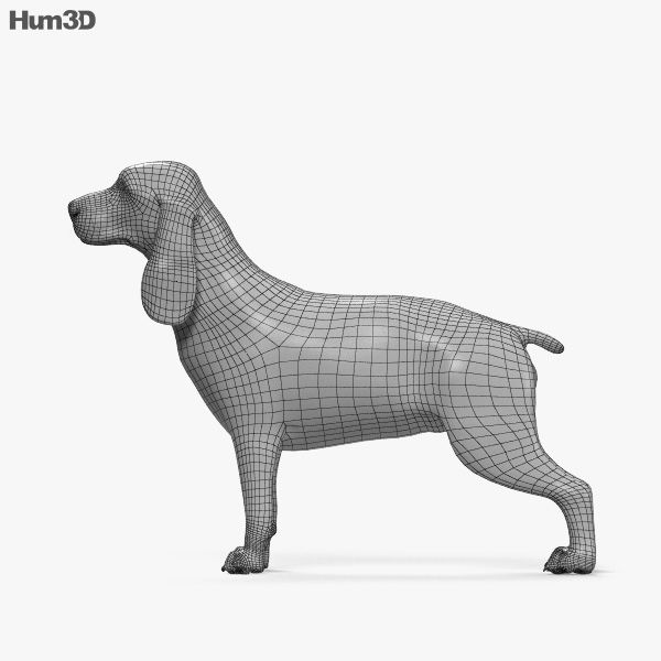 Animated English Cocker Spaniel 3D model - Download Mammals on 3DModels.org