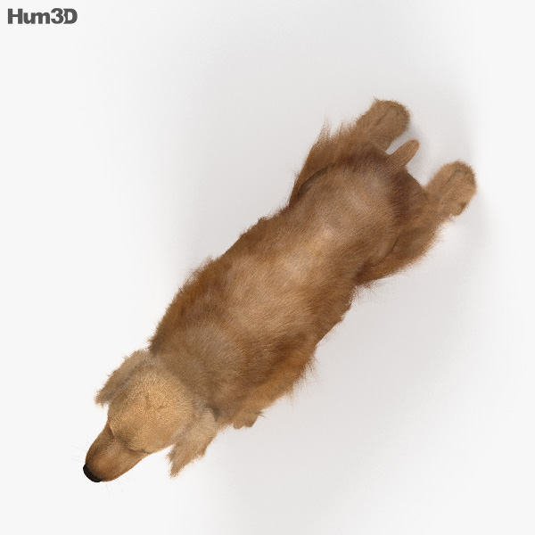 Animated English Cocker Spaniel 3D model - Download Mammals on 3DModels.org