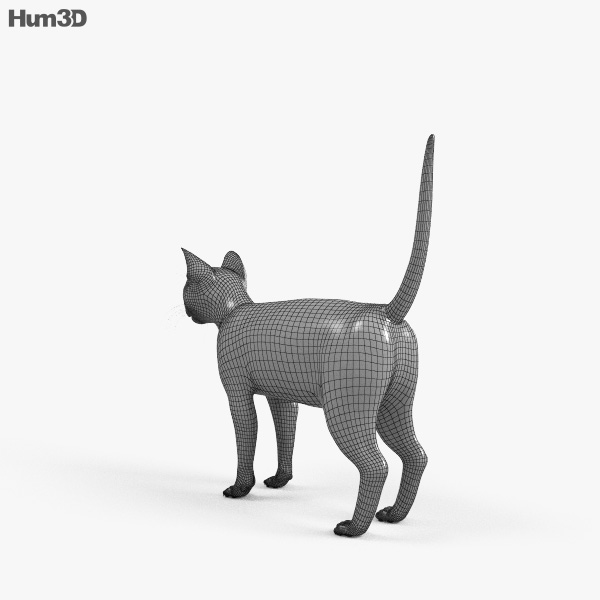 Animated Cat 3D model - Download Mammals on 3DModels.org