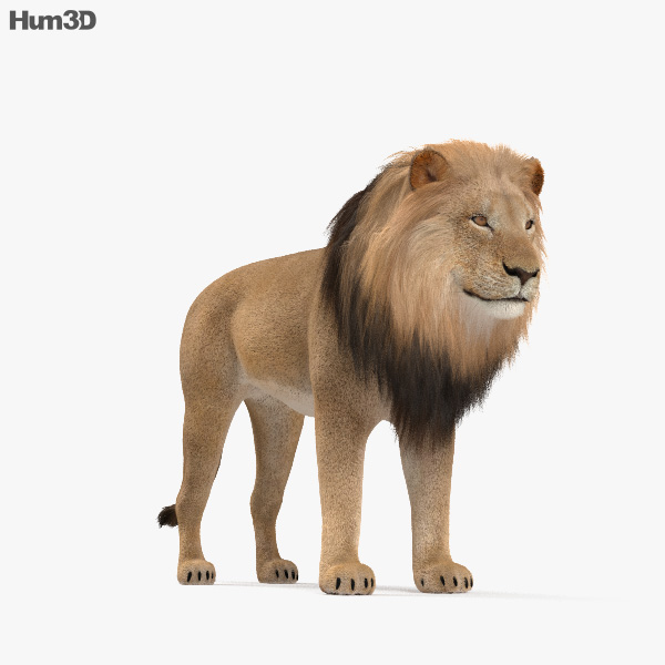 Animated Lion 3D model - Download Mammals on 3DModels.org