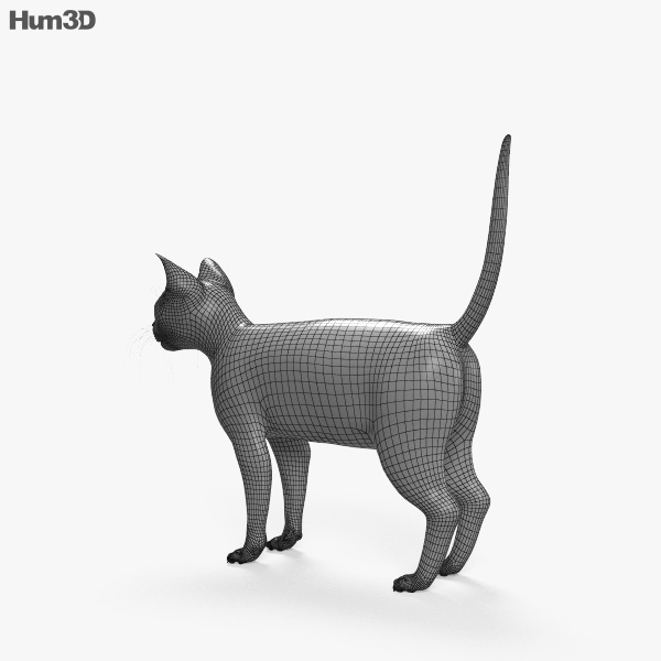 Animated Ginger Cat 3D model - Download Mammals on 3DModels.org