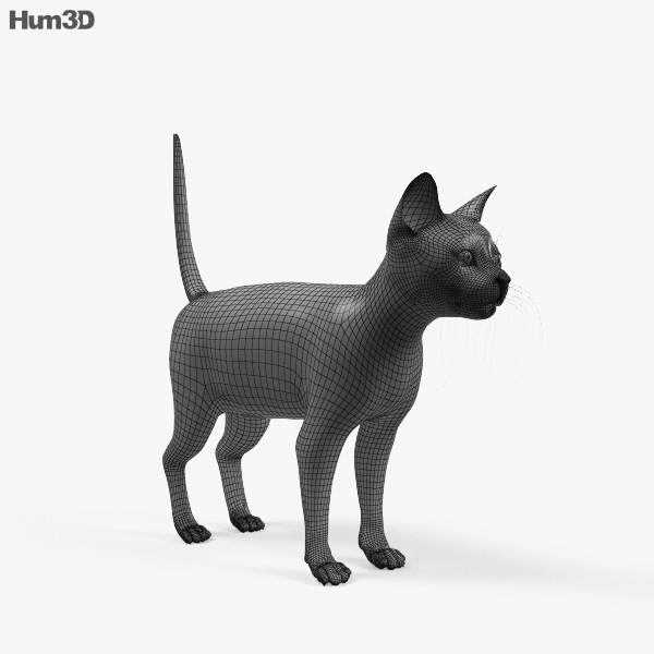 Animated Ginger Cat 3D model - Download Mammals on 3DModels.org