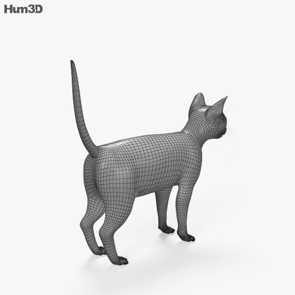 Animated Ginger Cat 3D model - Download Mammals on 3DModels.org