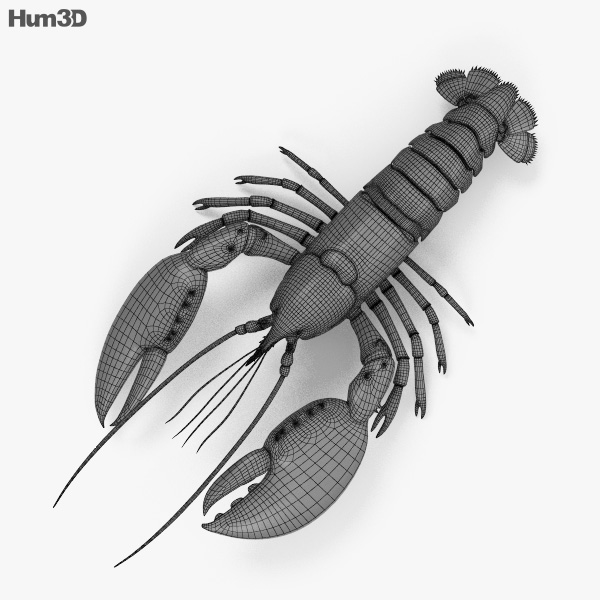 Animated Lobster 3D model - Download Arthropod on 3DModels.org