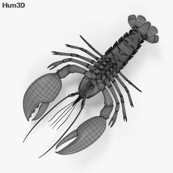 Animated Lobster 3D model - Download Arthropod on 3DModels.org