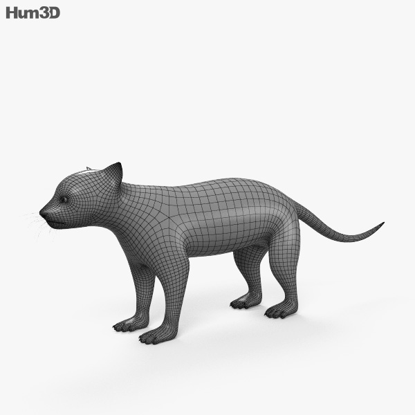 Animated Red Panda 3D model - Download Mammals on 3DModels.org