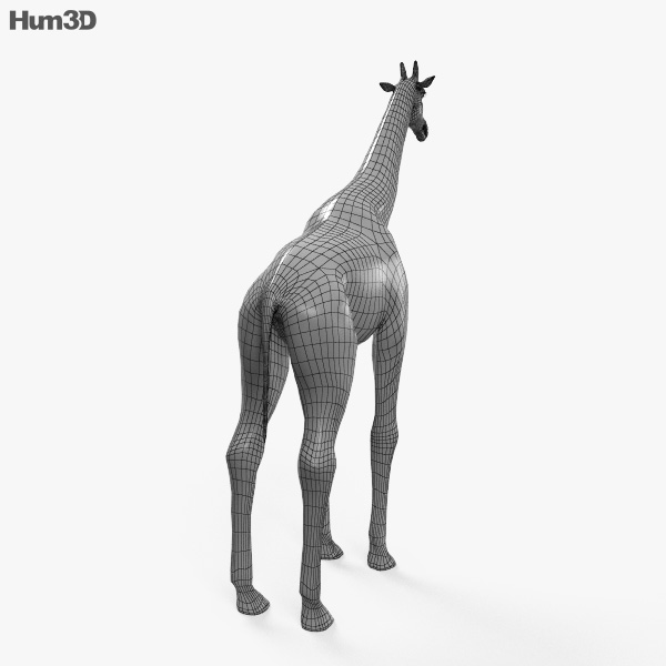 Animated Giraffe 3D model - Download Mammals on 3DModels.org
