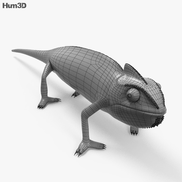 Animated Veiled Chameleon 3D model - Download Reptile on 3DModels.org