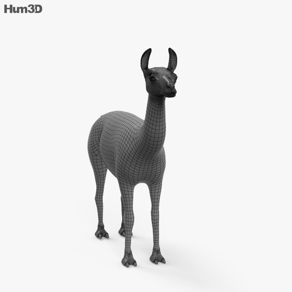 Animado Llama Modelo 3D - Descargar Mammalia activado 3DModels.org