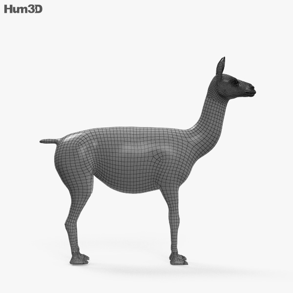 Animado Llama Modelo 3D - Descargar Mammalia activado 3DModels.org