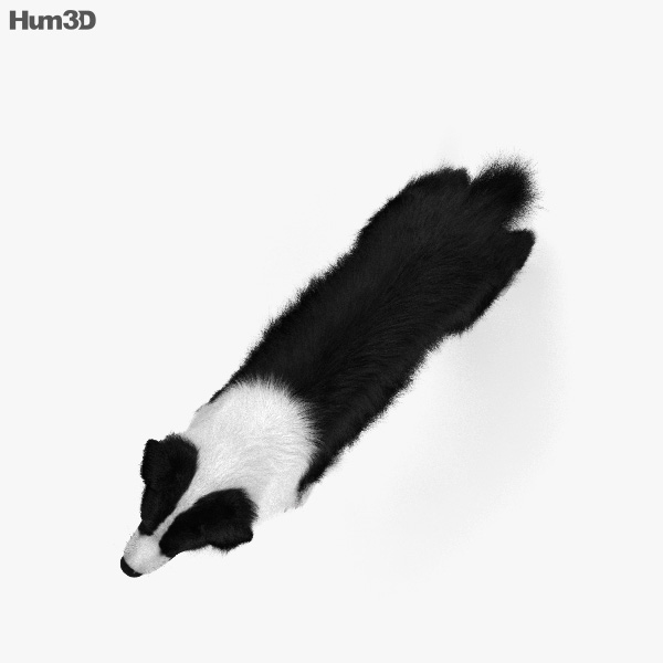 Animated Border Collie 3D model - Download Mammals on 3DModels.org