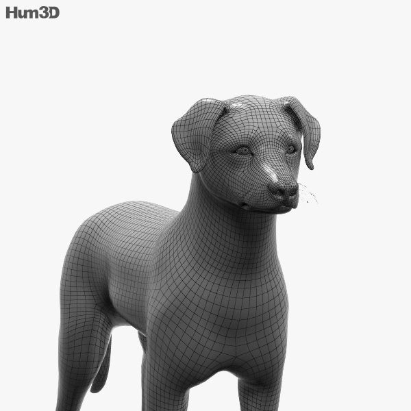 Animated Border Collie 3D model - Download Mammals on 3DModels.org