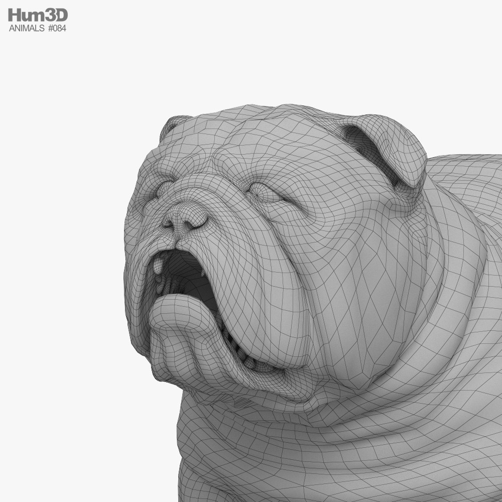 Animated Bulldog 3D model - Download Mammals on 3DModels.org