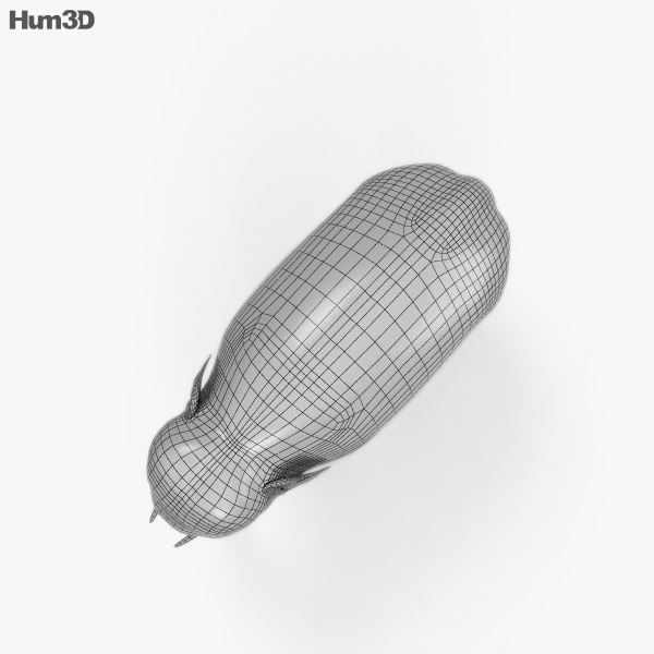 Animated Asian Elephant 3D model - Download Mammals on 3DModels.org