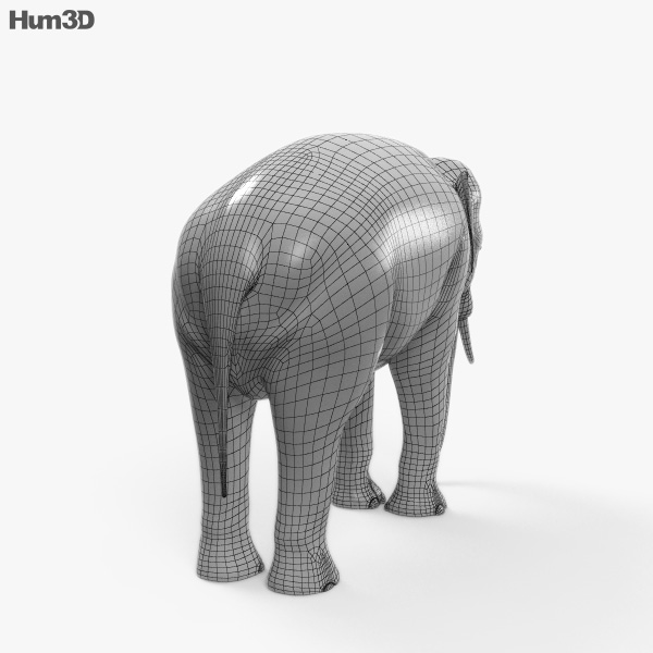 Animated Asian Elephant 3D model - Download Mammals on 3DModels.org